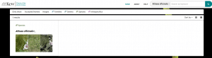 Identify Plants Through Their Images With This Free Online Tool - I ...